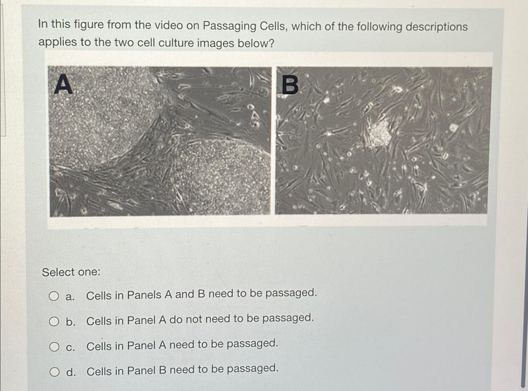 Solved In this figure from the video on Passaging Cells, | Chegg.com