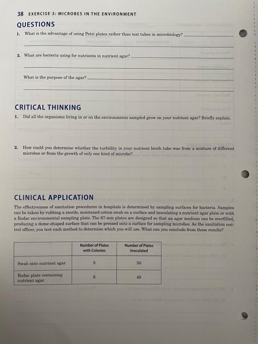 Name: Date: Lab Section: EXERCISE LABORATORY REPORT | Chegg.com