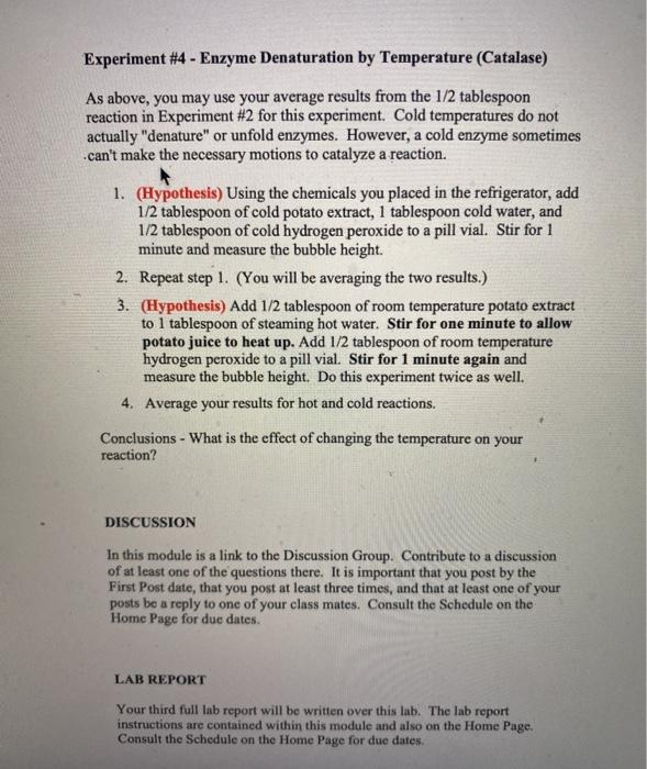 Solved Enzymes: Experiment Instructions (Lab Report) | Chegg.com