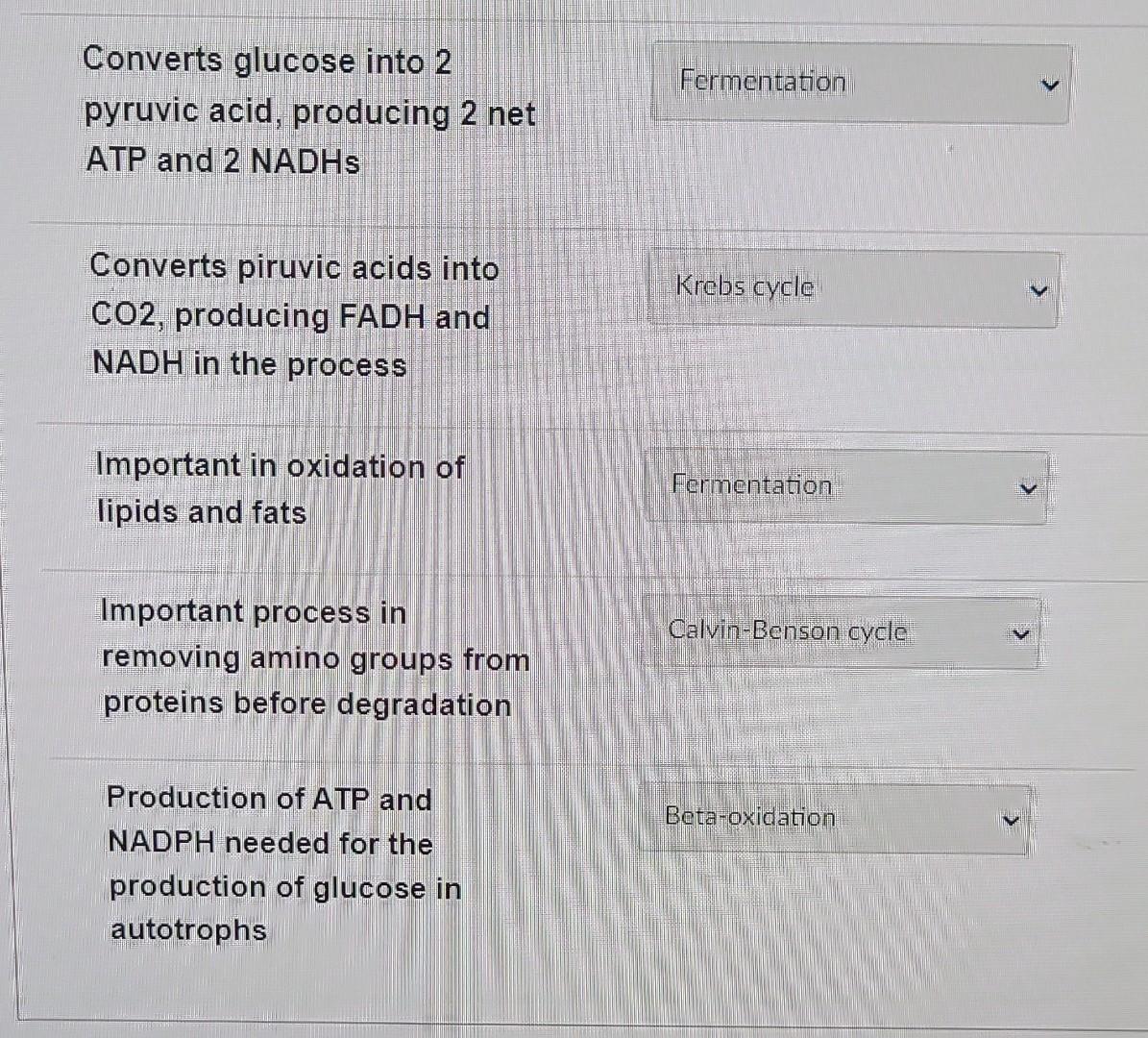 Solved Converts glucose into 2 pyruvic acid, producing 2 net | Chegg.com