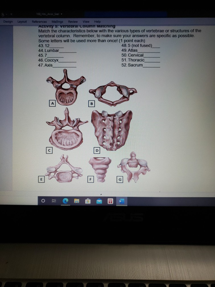 Solved 168_HOL Axial_Ske! - Design Layout References | Chegg.com