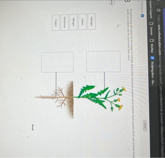 Solved Drag and drop the labels to the image to indicate | Chegg.com