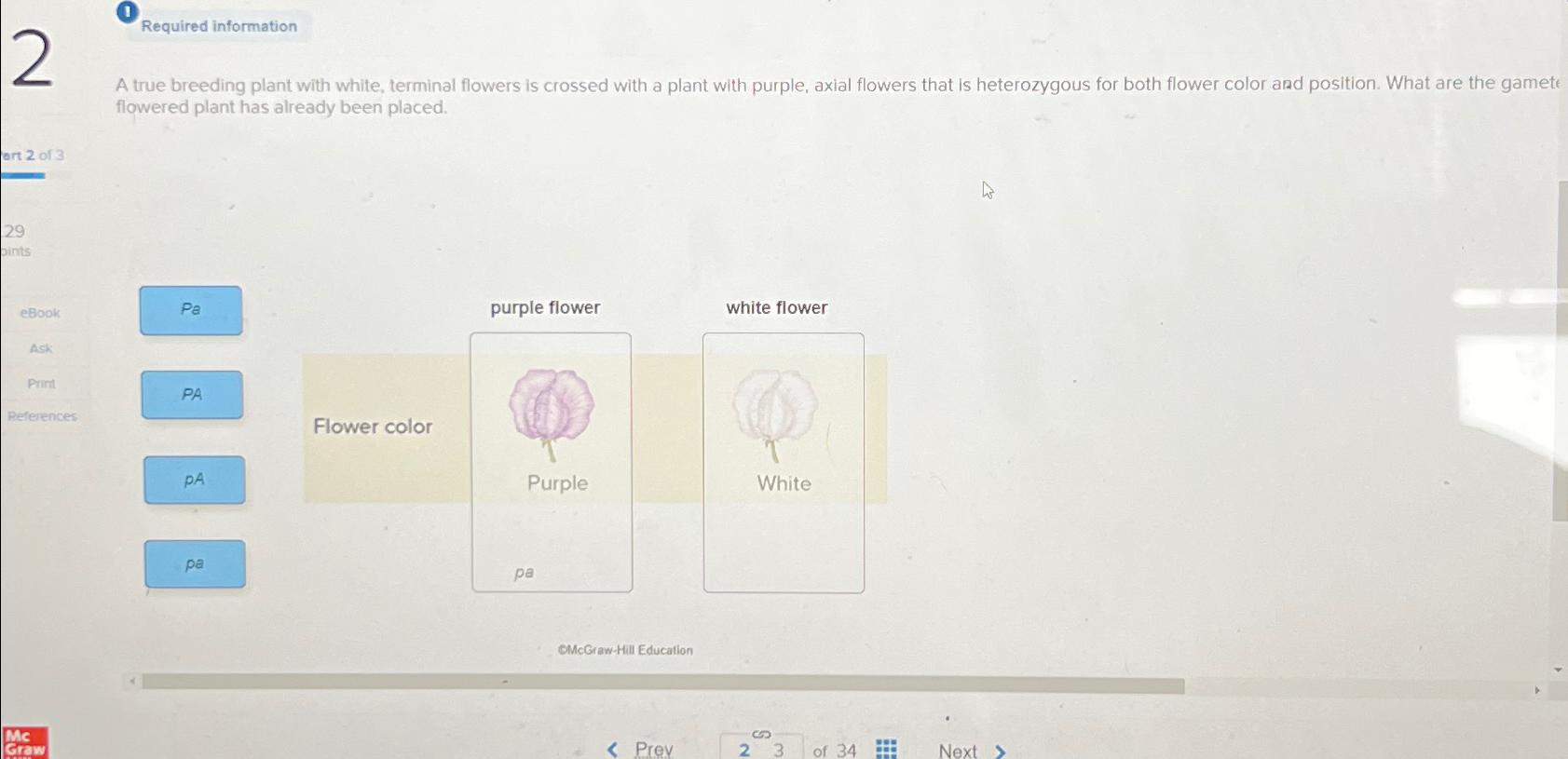 Solved (1)Required informationA true breeding plant with | Chegg.com