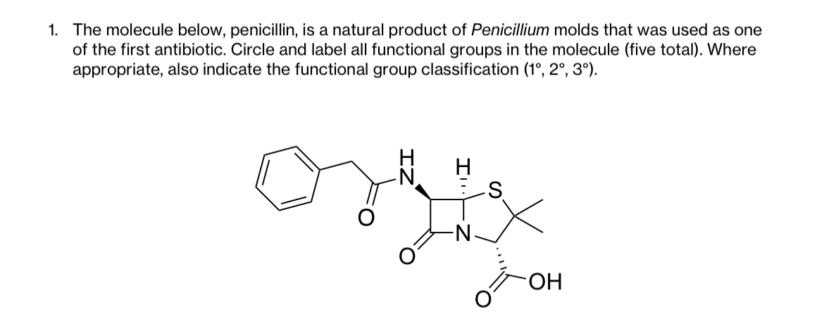 Solved The molecule below, penicillin, is a natural product | Chegg.com