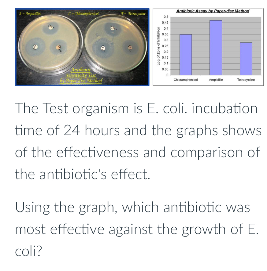 Solved The Test organism is E. ﻿coli. incubationtime of 24 | Chegg.com
