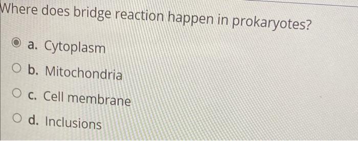 Solved Where does bridge reaction happen in prokaryotes? Ⓒa. | Chegg.com