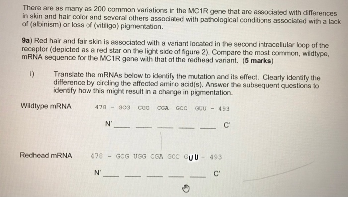 Solved There are as many as 200 common variations in the | Chegg.com