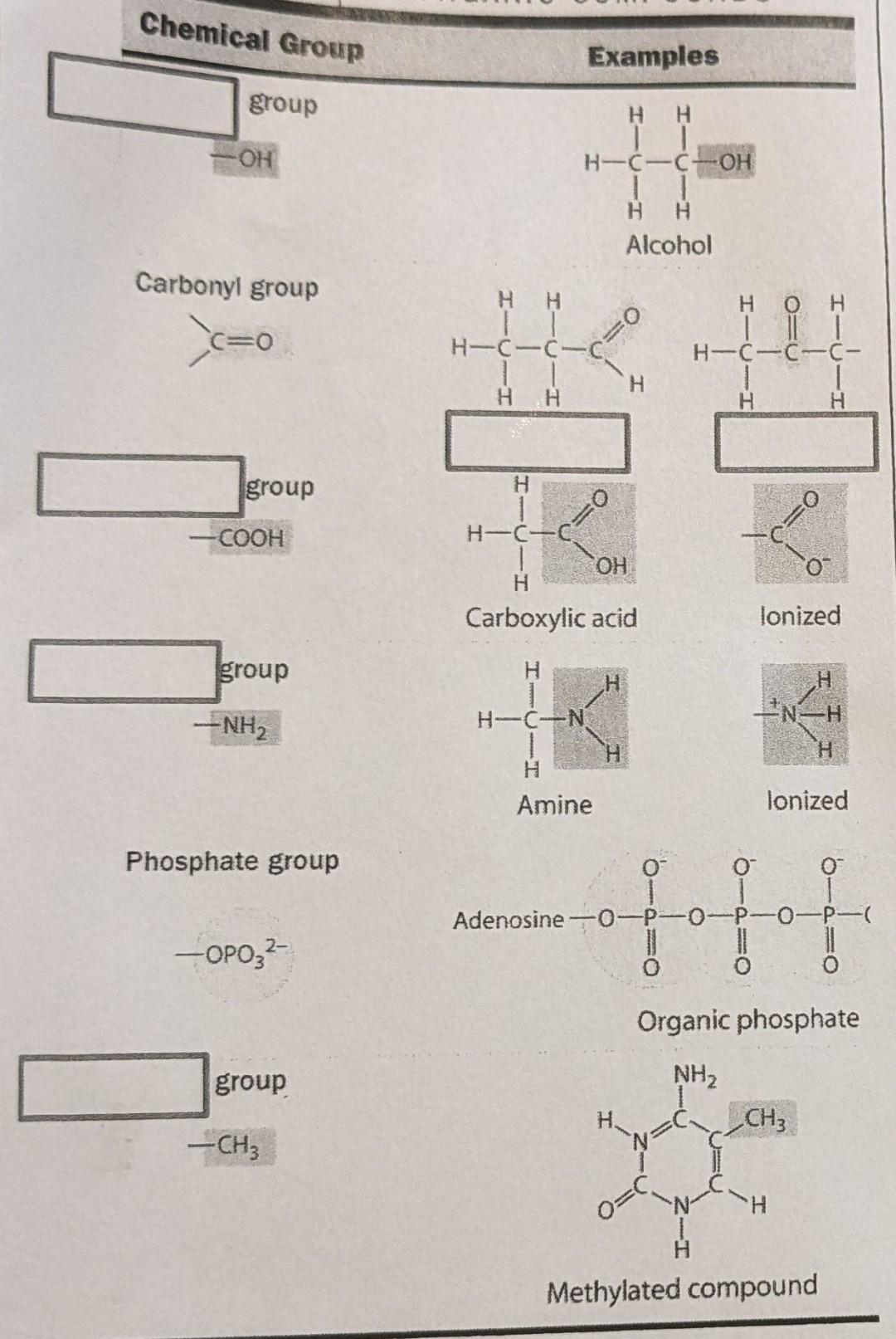 Solved Chemical Group Examples group Alcohol Carbonyl group | Chegg.com
