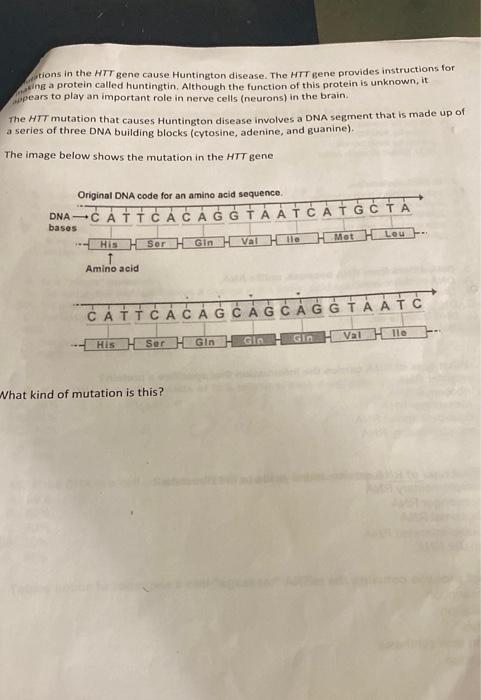 fions in the HTT gene cause Huntington disease. The | Chegg.com