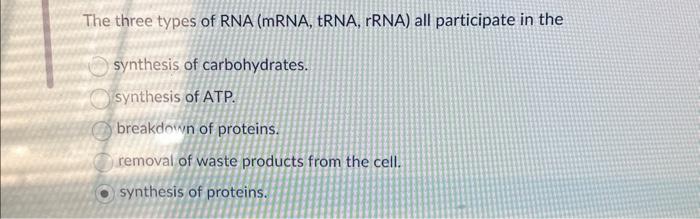 Solved The three types of RNA (mRNA, tRNA, rRNA) all | Chegg.com
