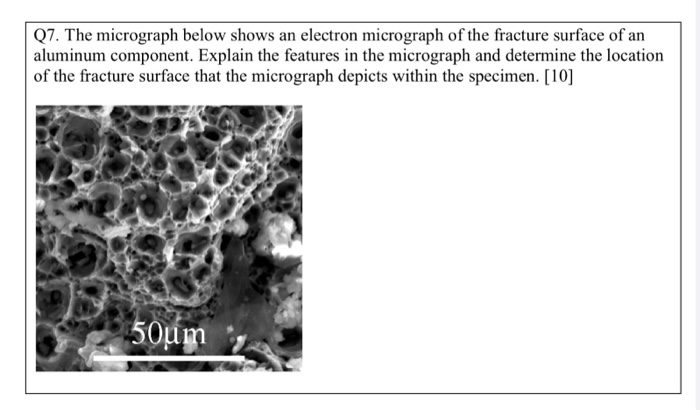 Solved Q7. The micrograph below shows an electron micrograph | Chegg.com