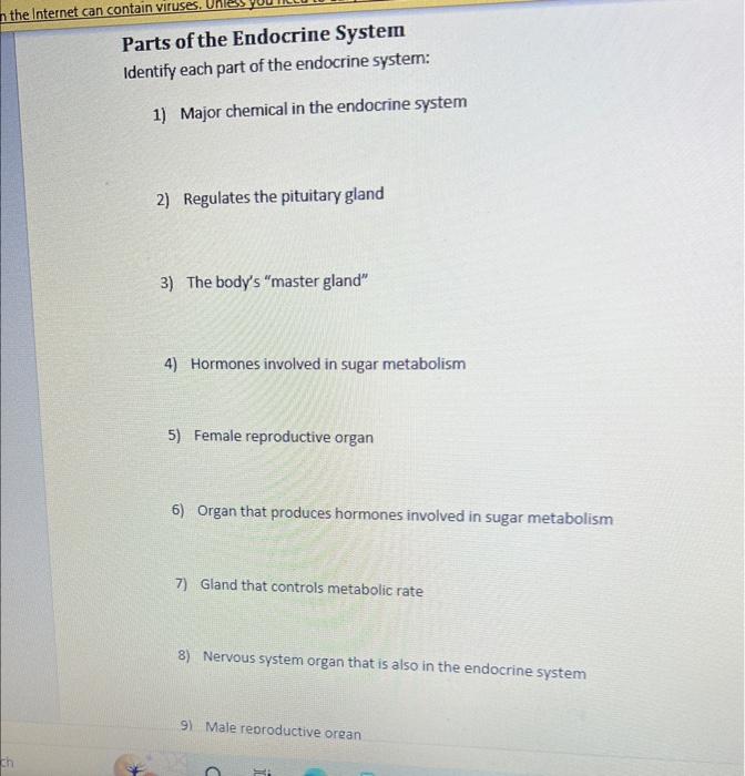 Solved Parts of the Endocrine System Identify each part of | Chegg.com