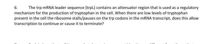Solved 6. The trp mRNA leader sequence (trpL) contains an | Chegg.com