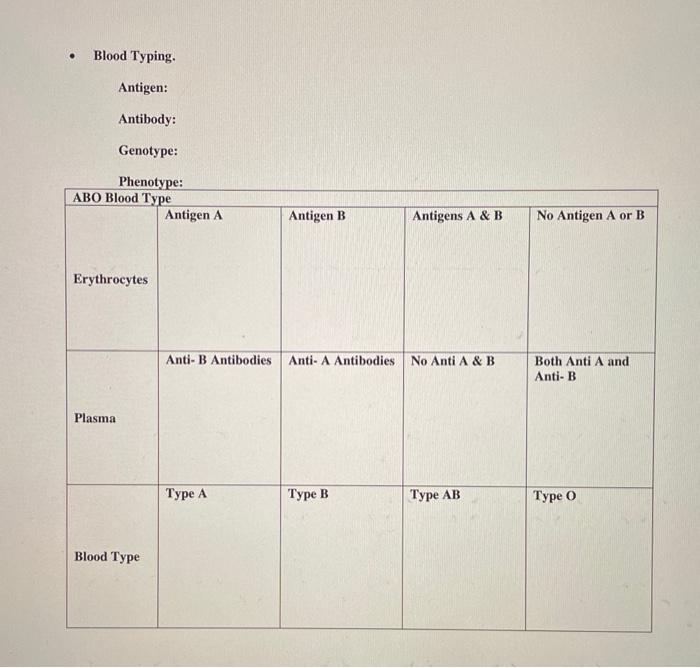 Solved Blood Typing. Antigen: Antibody: Genotype: Phenotype: | Chegg.com