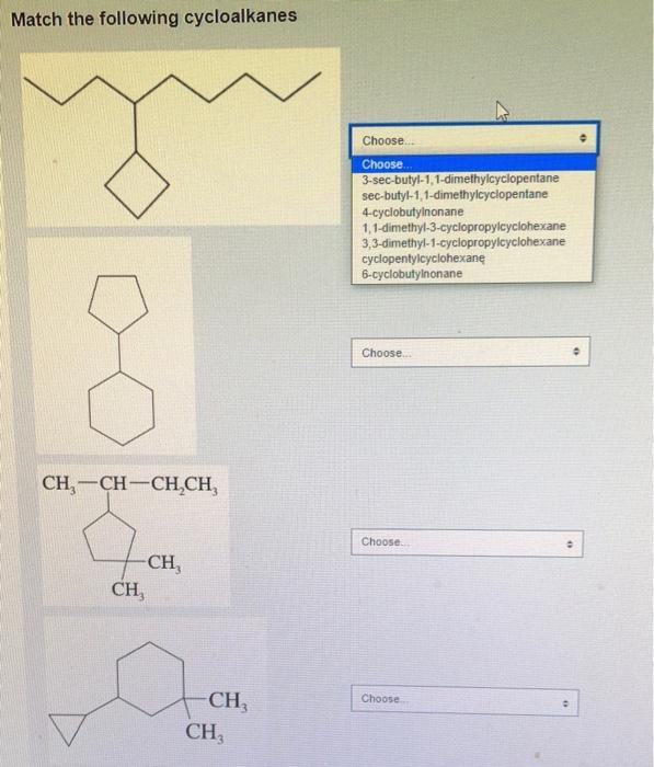 Solved Match the following cycloalkanes | Chegg.com