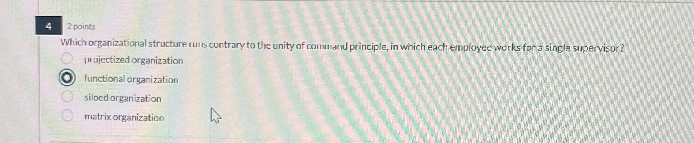 Solved 42 ﻿pointsWhich organizational structure runs | Chegg.com