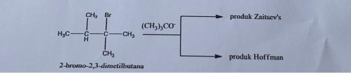 Solved If 2-bromo-2,3-dimethylbutane with the following | Chegg.com