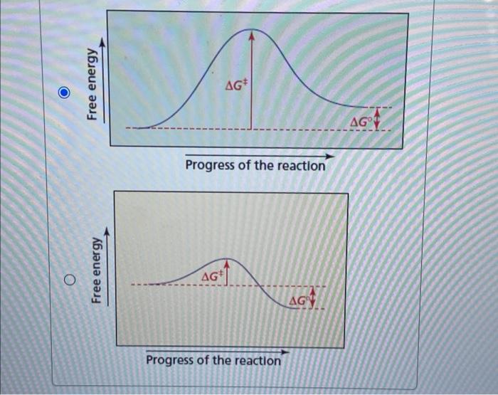 Solved the product is thermodynamically unstable and | Chegg.com