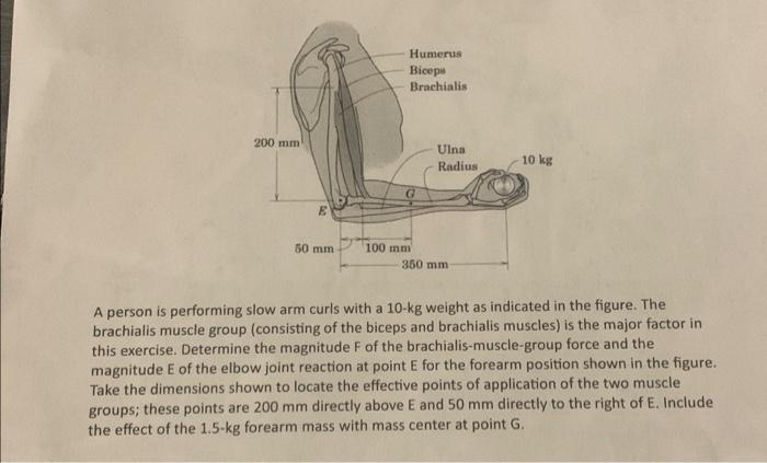 Solved A person is performing slow arm curls with a 10−kg | Chegg.com