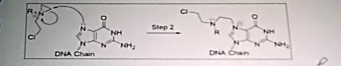 Solved The diagram below depicts step 2 of an alkylation | Chegg.com