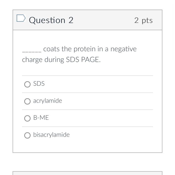 Solved Question 2 coats the protein in a negative charge | Chegg.com