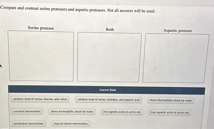 Solved Compare and contrast serine proteases and aspartic | Chegg.com