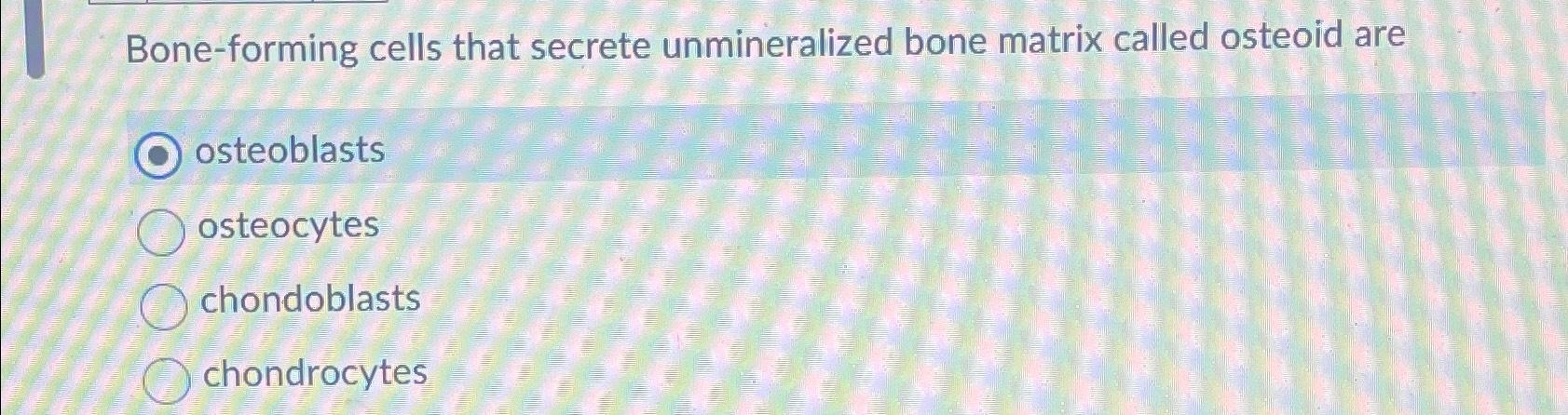 Solved Bone-forming cells that secrete unmineralized bone | Chegg.com