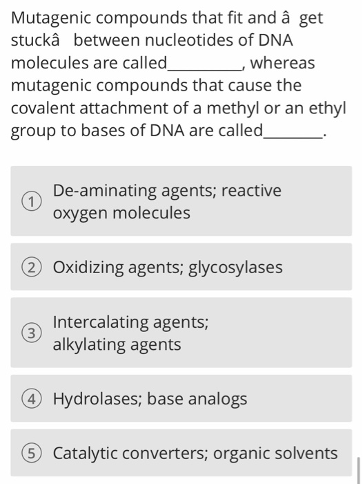 Solved Mutagenic compounds that fit and â get stuckâ between | Chegg.com