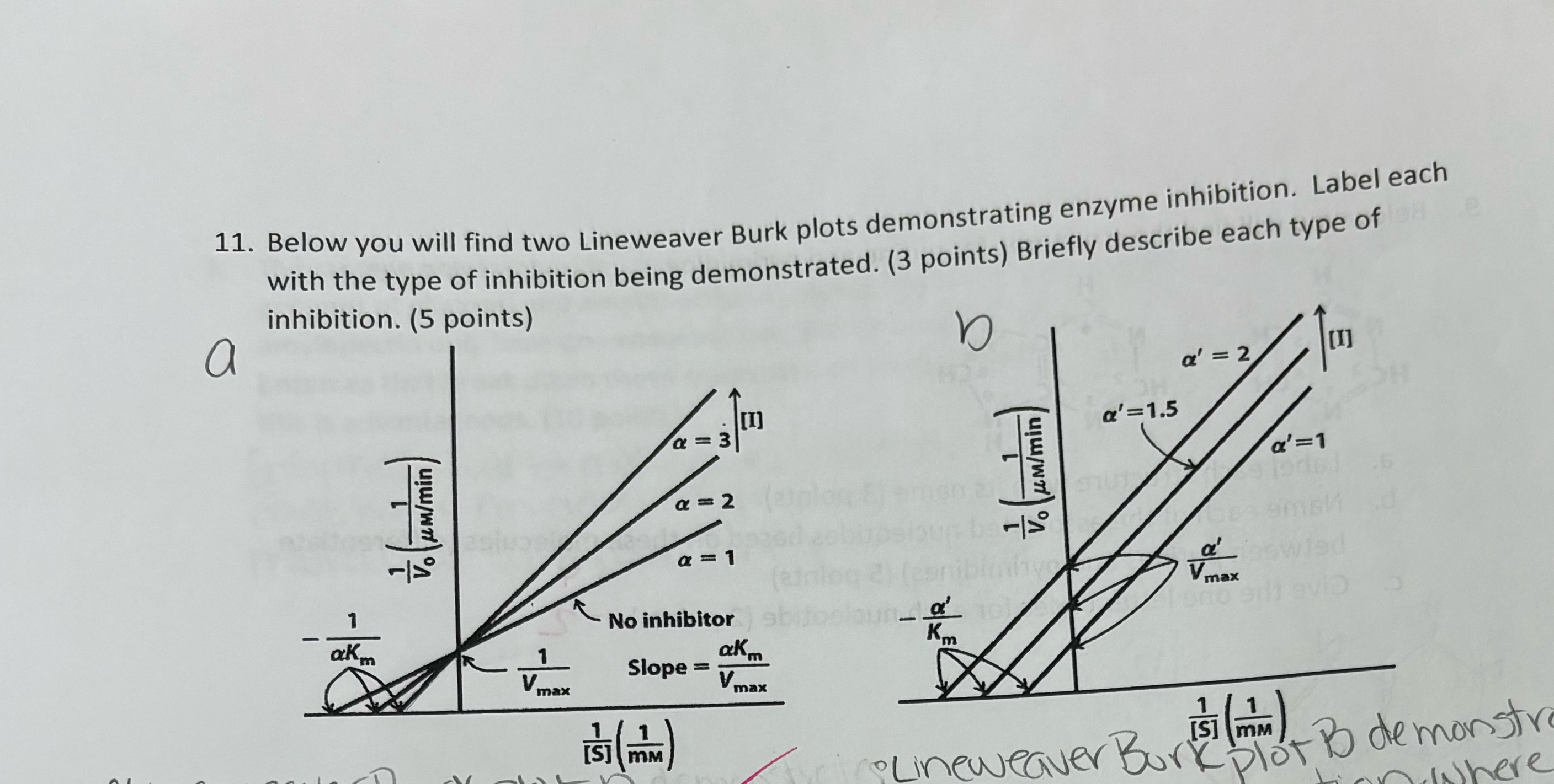 Solved Below you will find two Lineweaver Burk plots | Chegg.com
