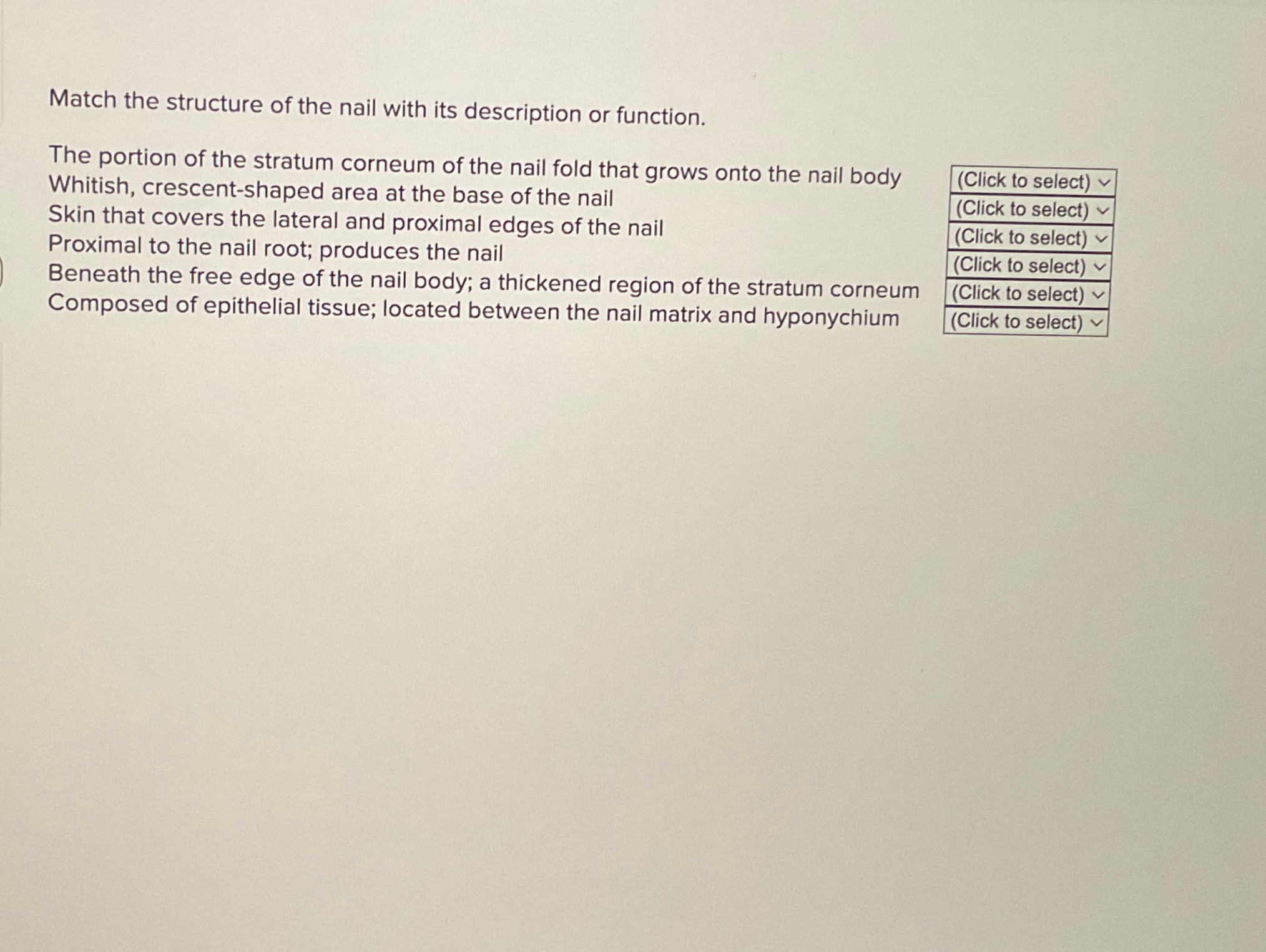 Solved Match the structure of the nail with its description | Chegg.com