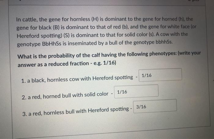 Solved In cattle, the gene for hornless (H) is dominant to | Chegg.com