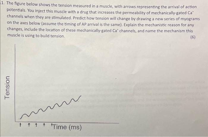 Solved The figure below shows the tension measured in a | Chegg.com