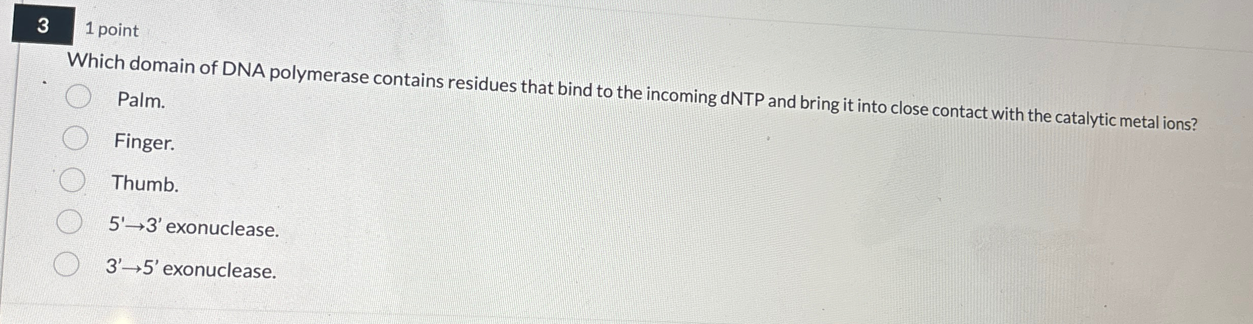 Solved 31 ﻿pointWhich domain of DNA polymerase contains | Chegg.com