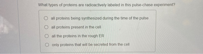 Solved Based on the results from this pulse-chase | Chegg.com