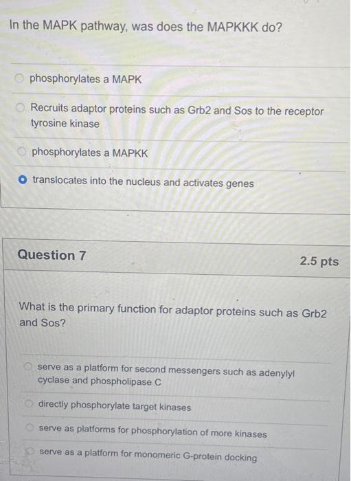 Solved In the MAPK pathway, was does the MAPKKK do? | Chegg.com