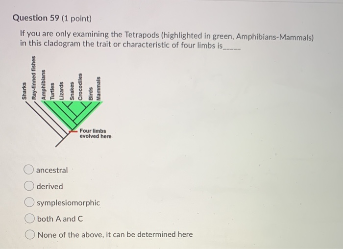 Solved Question 59 (1 point) If you are only examining the | Chegg.com