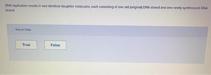 Solved DNA replication results in two identical daughter | Chegg.com