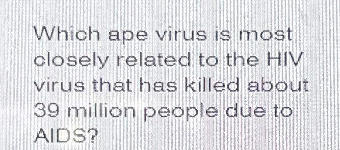 Solved Which ape virus is most closely related to the HIV | Chegg.com