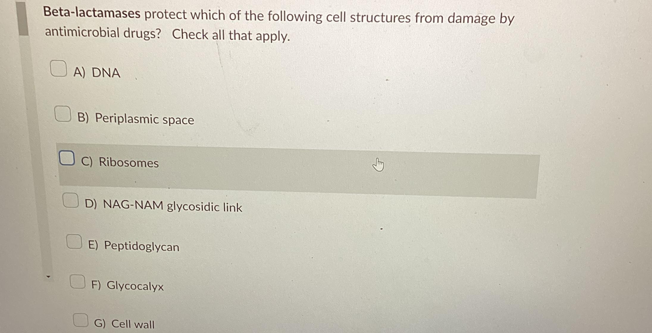 Solved Beta-lactamases protect which of the following cell | Chegg.com