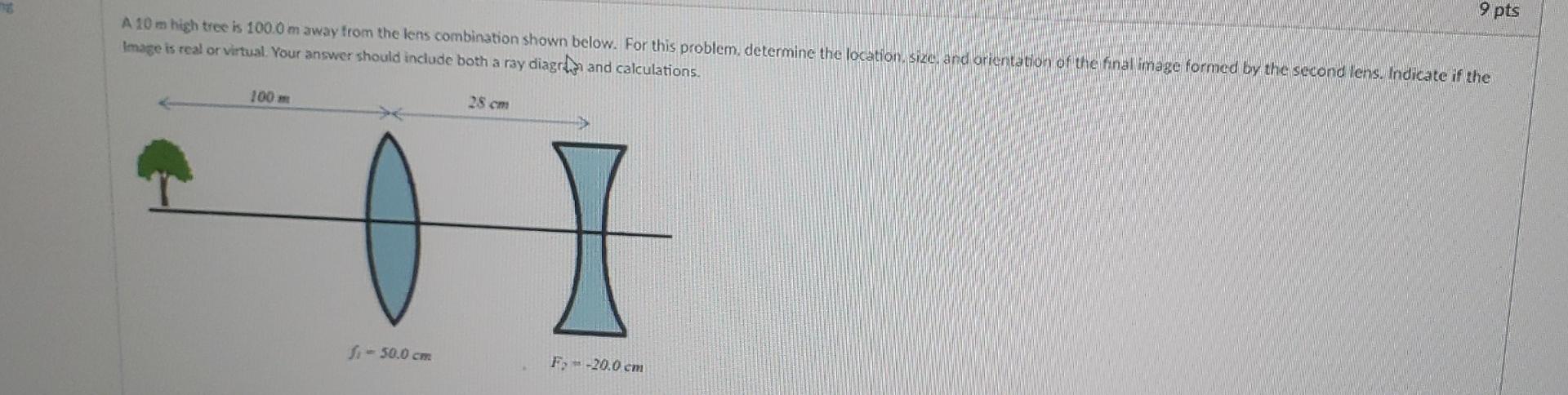 Solved 9 pts A 10 m high tree is 100.0 m away from the lens | Chegg.com