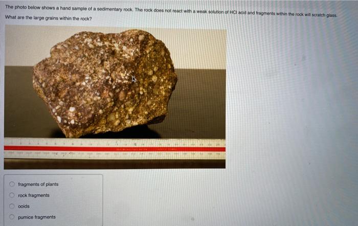 Solved The photo below shows a hand sample of a sedimentary | Chegg.com
