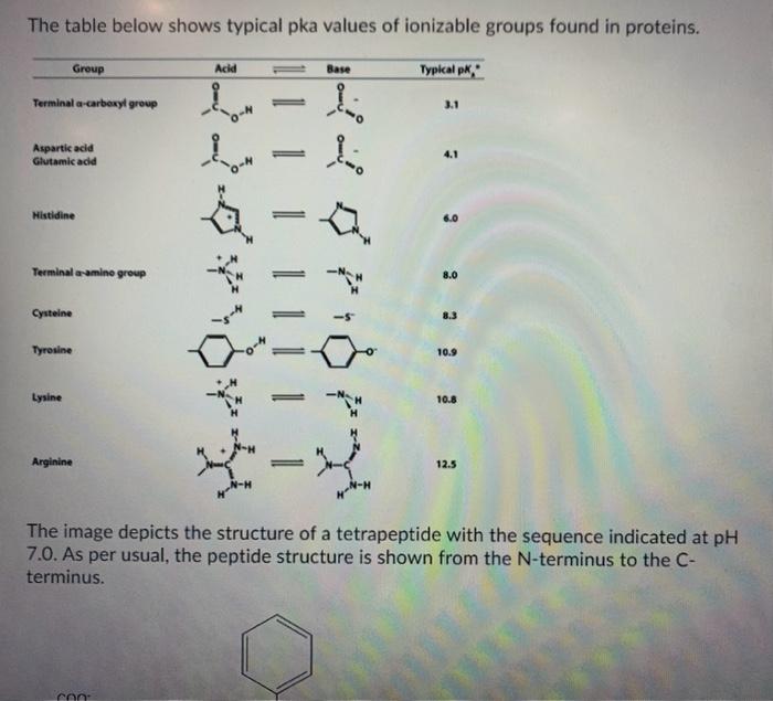 Solved The table below shows typical pka values of ionizable | Chegg.com