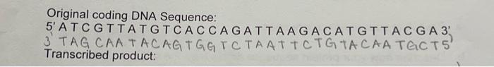 Solved Original Coding Dna Sequence 5 A Tcgtttatggtc A C C