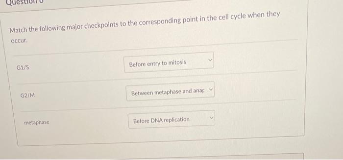 Solved Match the following major checkpoints to the | Chegg.com