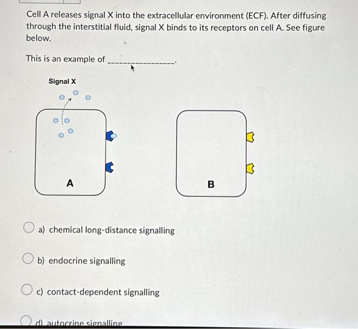 Solved Cell A releases signal X into the extracellular | Chegg.com