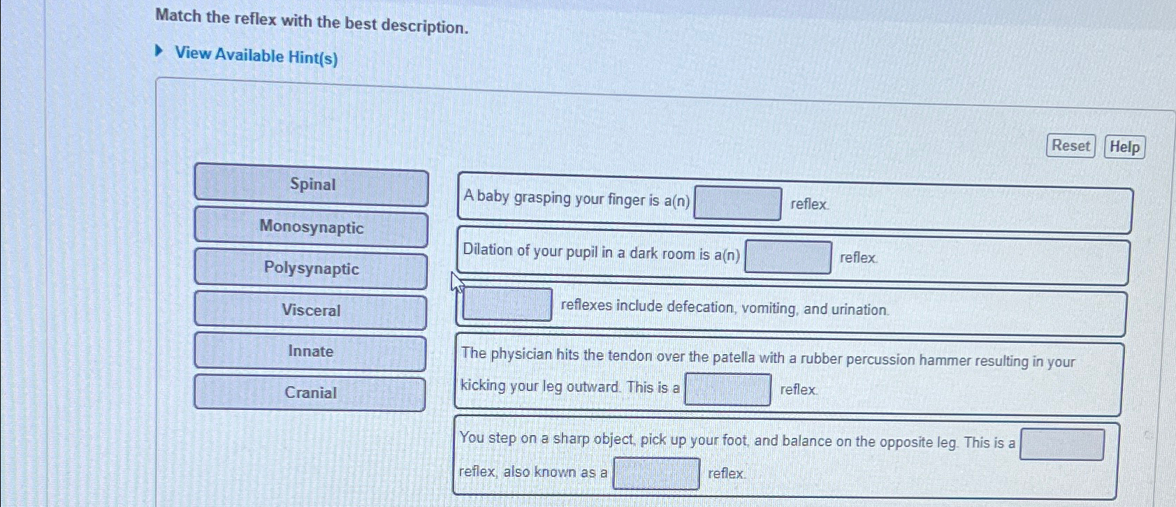 Solved Match the reflex with the best description.View | Chegg.com