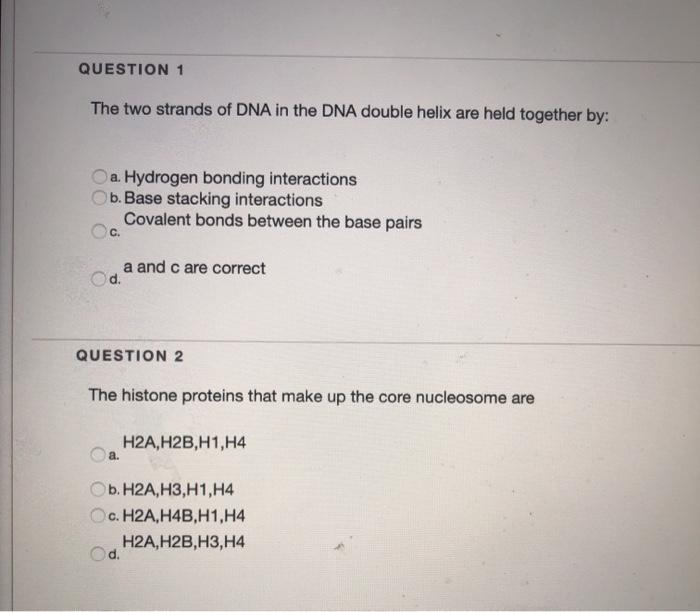Solved QUESTION 1 The two strands of DNA in the DNA double | Chegg.com