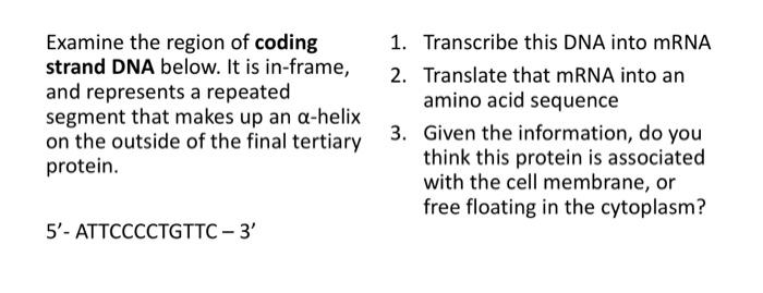 Solved Examine the region of coding strand DNA below. It is | Chegg.com