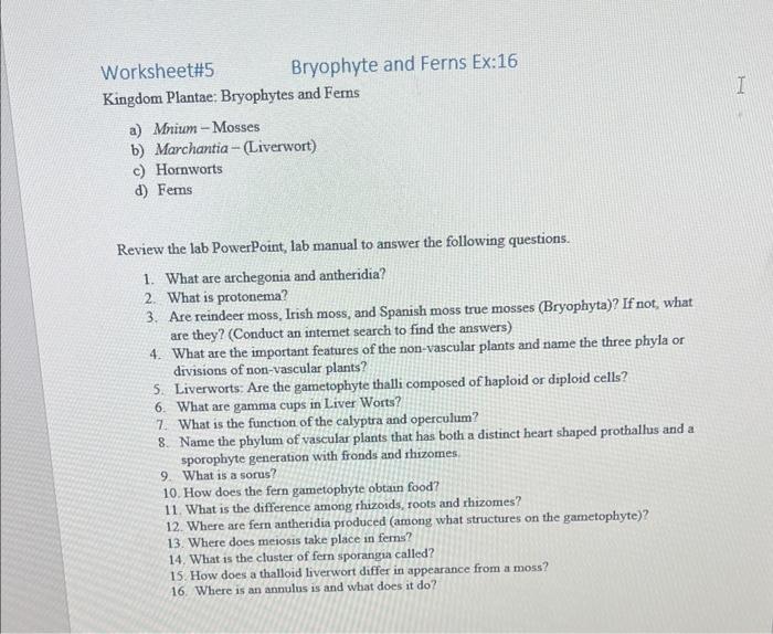 Solved Worksheet#5 Bryophyte and Ferns Ex:16 Kingdom | Chegg.com