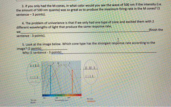 Solved 3. if you only had the M-cones, in what color would | Chegg.com